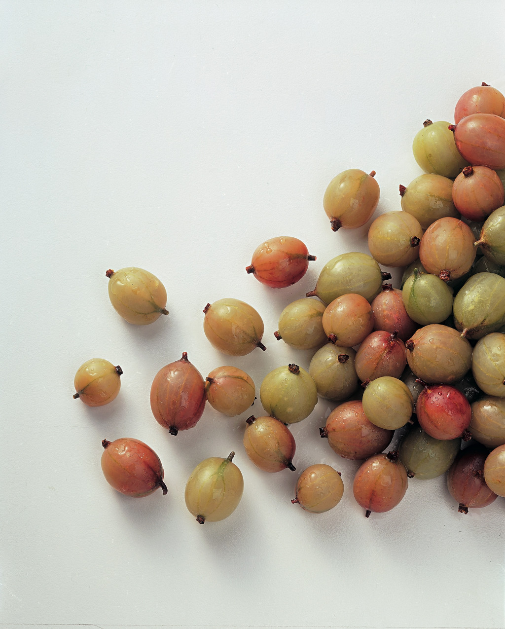 Wholesale Frozen Fruit & Nuts Supplier | Next Day Bulk Delivery ...